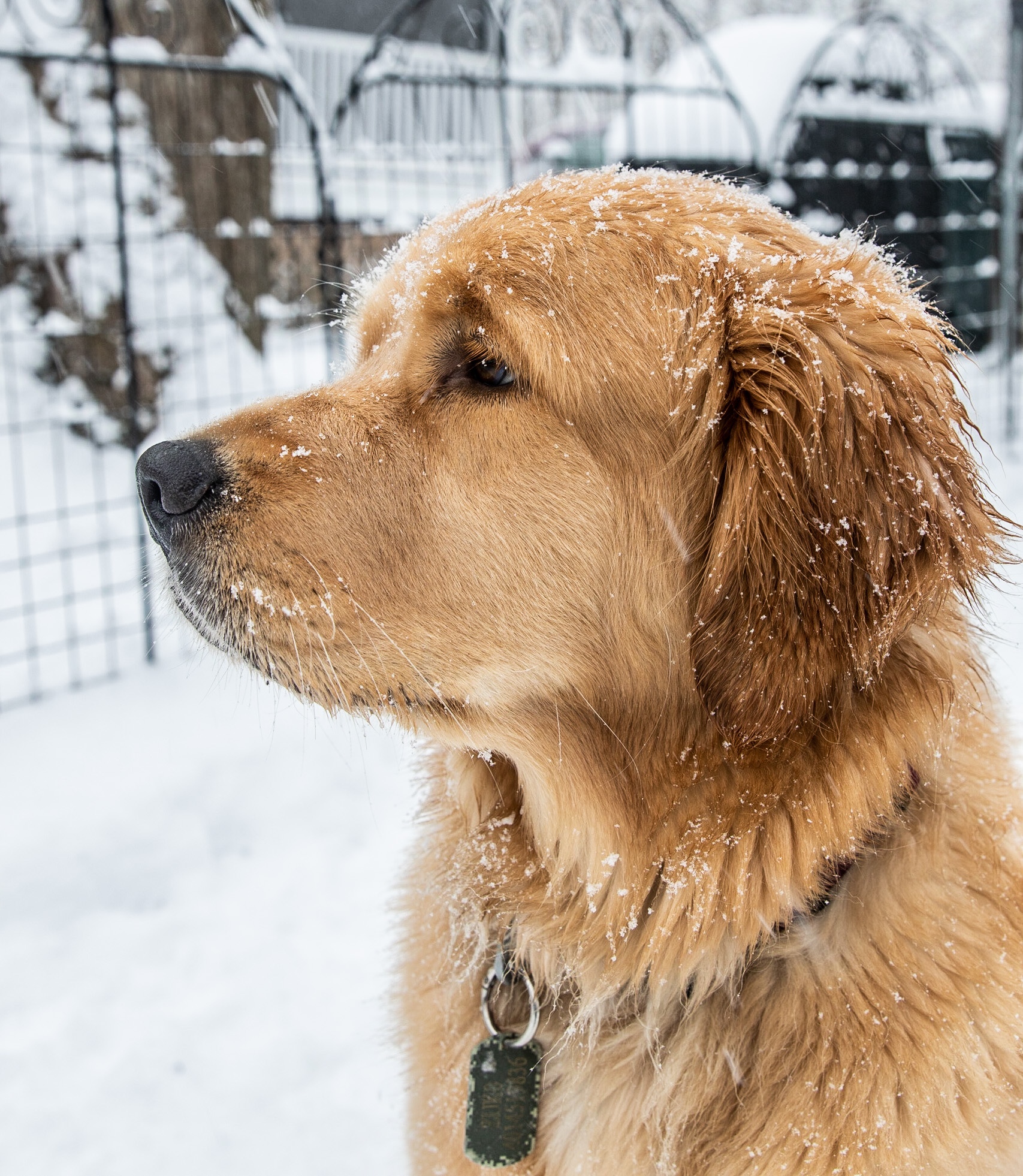 Zuko – Max Phoenix Photos